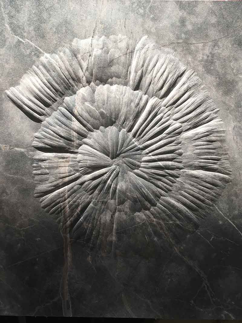 BASF +++ ELEMENTE MaterialForum